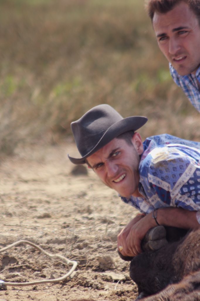 Traditions camarguaises – Virginie Duforets